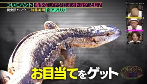 gghhh | ネット情報館